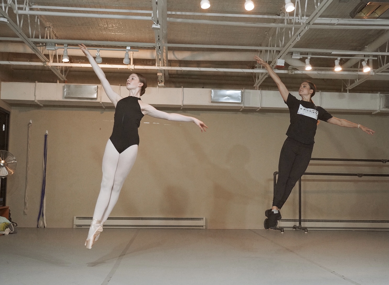 Coaching and Private Lessons – Ballet Embody Academy